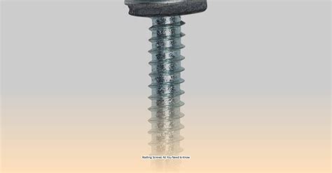 Roofing Screws A Comprehensive Guide To Types Sizes And Applications