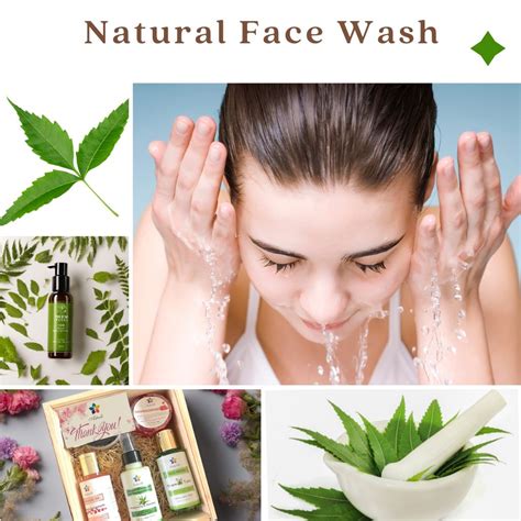 The Best Neem Face Wash All Natural Phlorena
