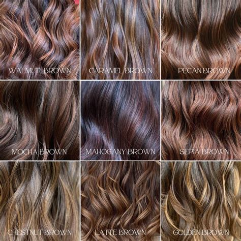 Different Shades Of Brown Haircolours Curly Hair Specialist Hair
