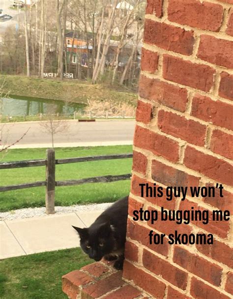 Another Skooma Meme Relderscrolls
