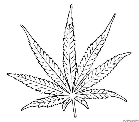 Weed Leaf Drawing Step By Step