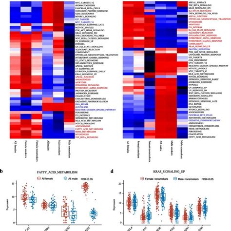 Sex Biased Immune Cells In Luads A B The Bubble Plots Display The Download Scientific Diagram