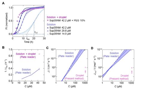 Comparison Of The Amyloid Nucleation Rate Between Droplet And Solution