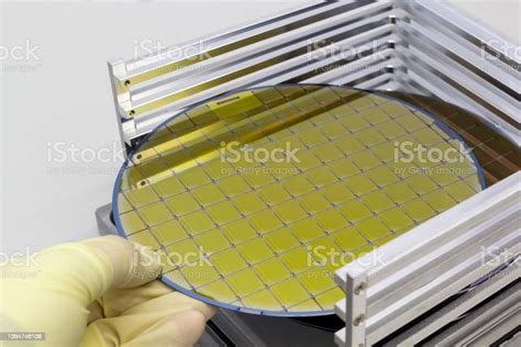 강철 홀더 박스의 실리콘 웨이퍼는 장갑을 끼고 손으로 꺼냅니다 웨이퍼는 집적 회로의 제조를위한 결정질 실리콘과 같은 반도체 재료의 얇은 조각입니다 0명에 대한 스톡 사진 및