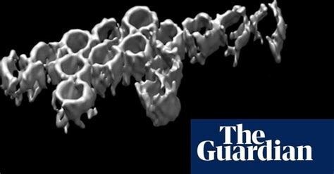 Nano Scale Dinosaur Made By Australian Researchers From Dna Building