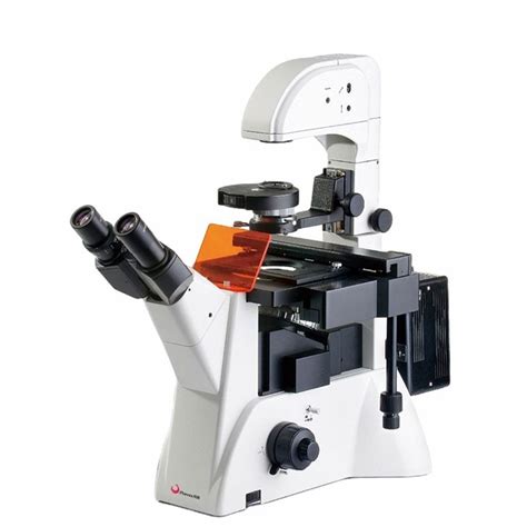 China Inverted Binocular Fluorescence Microscope Manufacturers Suppliers