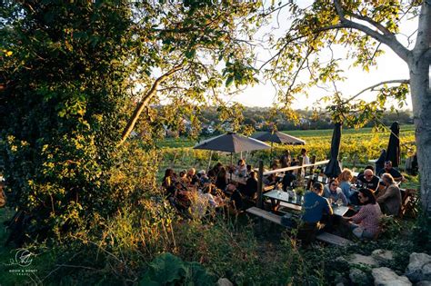 How To Visit Viennas Heuriger Wine Taverns Map