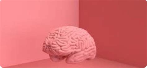 Hossein Nourian Dba On Linkedin بهره‌گیری از مدل‌های کسب‌و‌کار