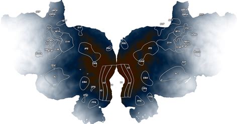 Plot 2d Vertex Data — Pycortex 1212 Documentation