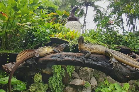 2026年 Bali Reptile Park 出発前に知っておくべきことすべて