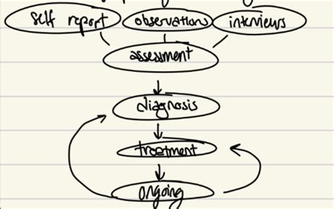 Intro To Psych Final Exam Flashcards Quizlet