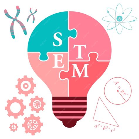 premium vector stem science technology engineering mathematics vector