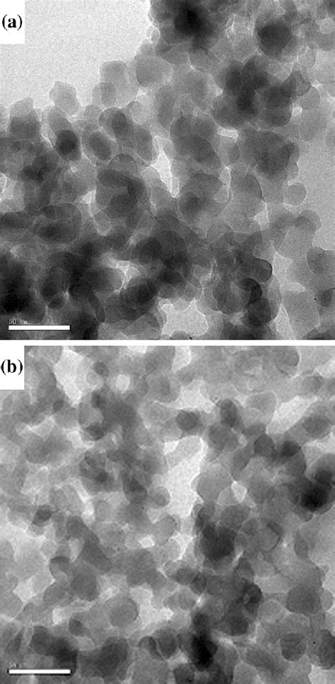 tem photographs of the pristine sio 2 nh 2 nanoparticles and the hybrid