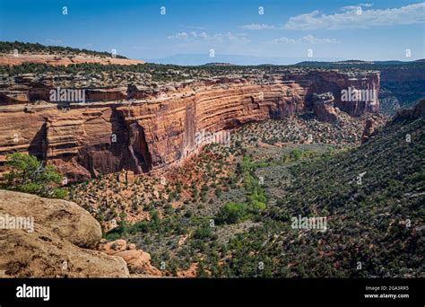 Looking Down Into The Red Rock Formations And The Canyon Of The