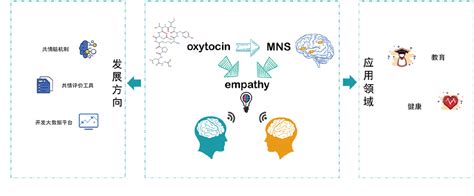 Figure 1 From Empathy In Human From A Cognitive Neuroscience Perspective Semantic Scholar