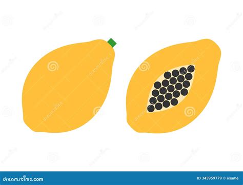 vector illustration of yellow papaya front view and cross section