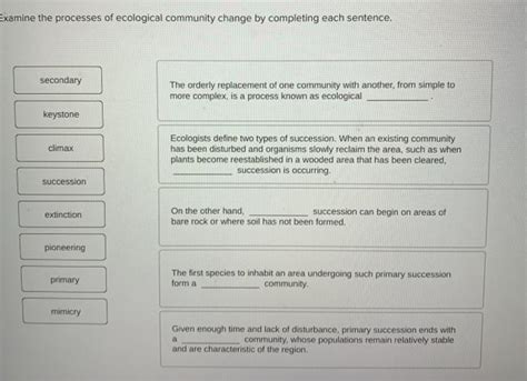 Solved Classify Each Description Into The Correct Category Chegg Com