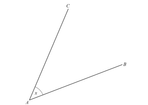 Igcse Mathematics 0580 C4 2 Measure And Draw Lines And Angles Igcse Style Questions Paper 1