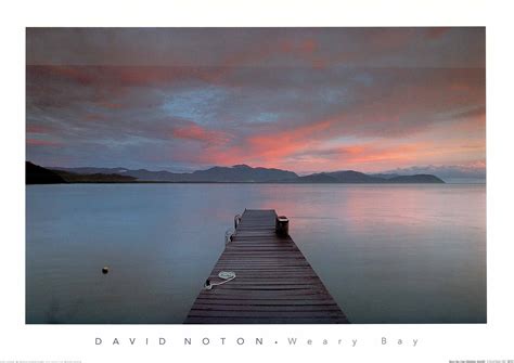 Weary Bay Cape Tribulation Australia By David Noton 20 X 28 Inches
