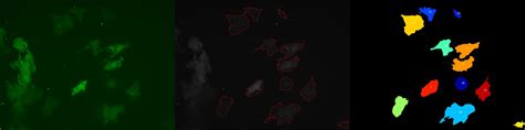 how to use measureobjectskeleton without secondary objects image