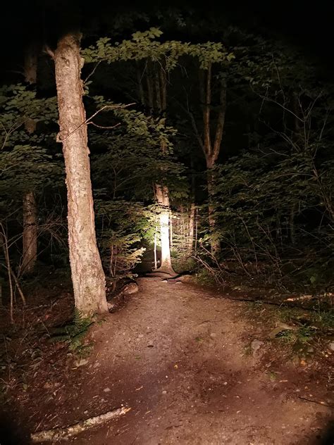 Emisar D1 519a Op Vs Smo Relfector Comparison Rflashlight