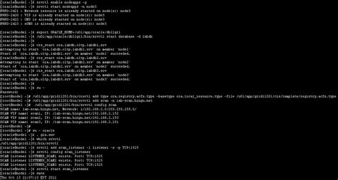 Screenshots Of Upgrade Of 11gr1 Crs To 11gr2 Grid Infrastructure On Linux 5