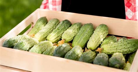 Які ціни на огірки в Україні на ринку і в супермаркетах ціни на продукти в Україні