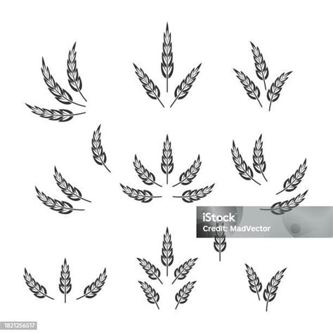 플랫 벡터 농업 밀 아이콘 세트 격리 유기농 밀 쌀 귀 빵 맥주 로고 포장 라벨에 대한 디자인 템플릿 0명에 대한 스톡 벡터 아트 및 기타 이미지 Istock