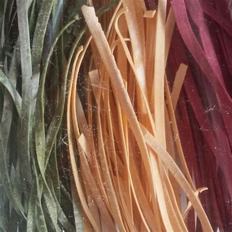 Lorena Jorge Youtube