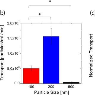 Shapedependent NanoparticleBBB Interactions A Download Scientific Diagram