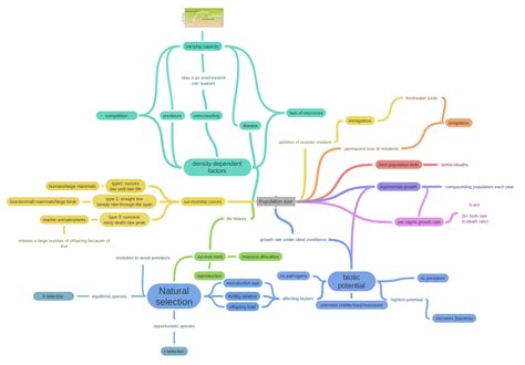 Population Size Coggle Diagram Population Size Coggle Diagram