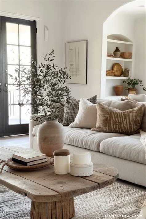 Organic Modern Living Room Sofa