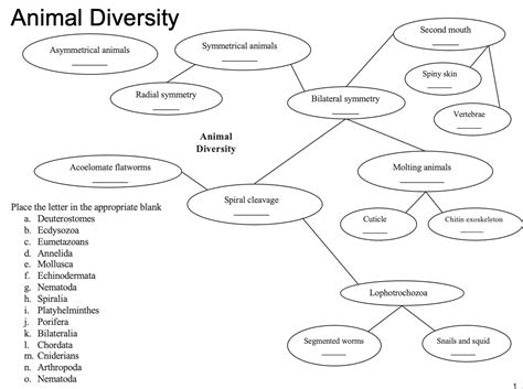 Part A Meiosis Concept Map Map
