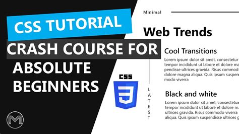 Css Tutorial For Beginners Css Crash Course Youtube