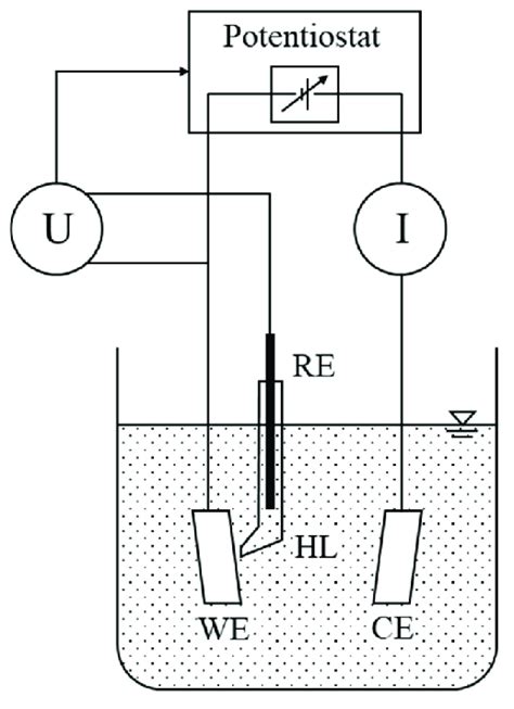 schematic representation of a three electrode macro corrosion cell