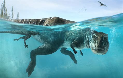 Jellyfish Pictures Vfx Pr And Marketing Strategy Grammatik Agency