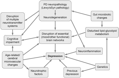 Some Essential Hypothetical Factors Influencing The Pathogenesis Of Download Scientific Diagram