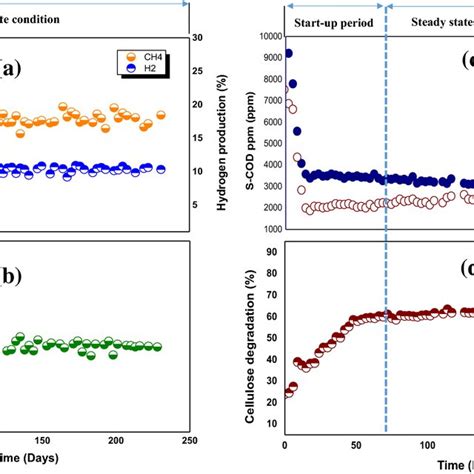 Reactor Performance Profiles Of Daily Variation And Steady State Condition Download Scientific