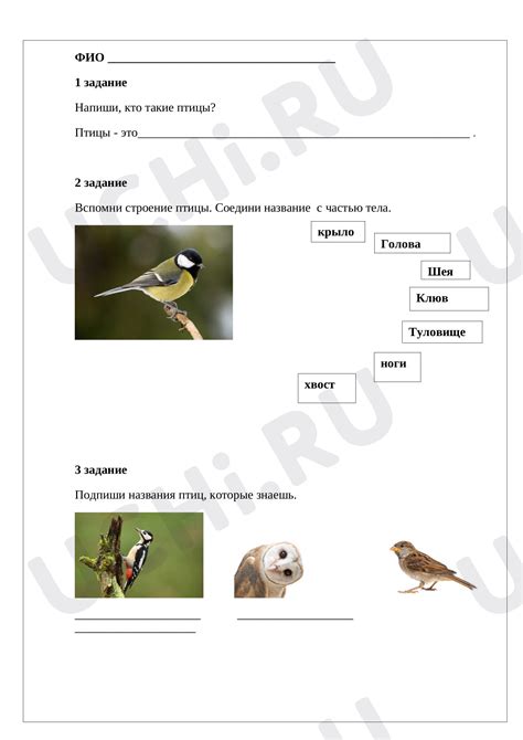 📒 Рабочий лист №21 по теме “Рабочий лист по окружающему миру для 1 класса Кто такие птицы