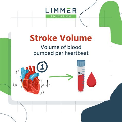 Understanding Cardiac Output Limmer Education Llc