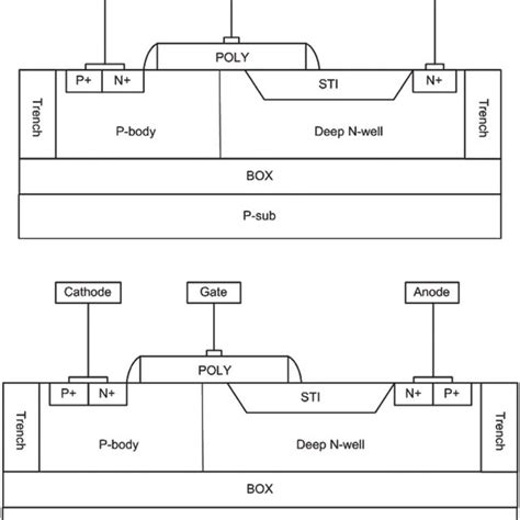 Cross Sections Of The Ldmos A And Ldmos Scr B Download Scientific Diagram
