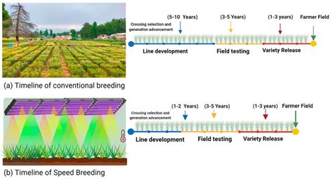 Comparison Of Traditional Breeding And Speed Breeding [15] Download Scientific Diagram