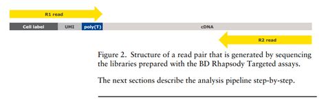 赵老师您好我下载了您这篇文章的数据但是原始数据有些问题想问您 Issue zlyingithub testis single cell R github data