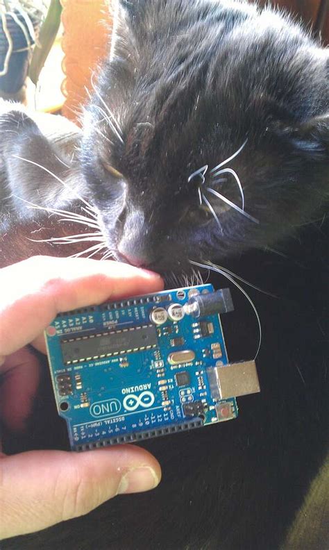 Newbi Need Some Help Please General Guidance Arduino Forum