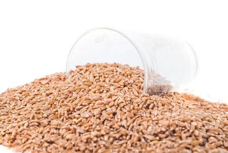 Stone Ground Organic Whole Grain Spelt Grits Arabian Organics