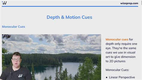 Monocular Cues Relative Motion