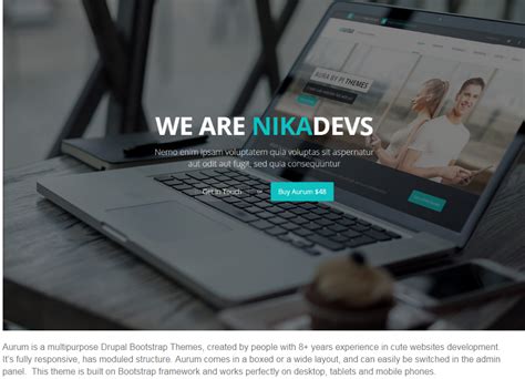 40 best responsive drupal bootstrap themes 2017