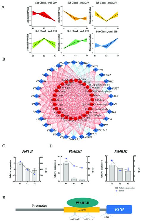 Comprehensive Analysis Of The Transcriptome And Metabolome And