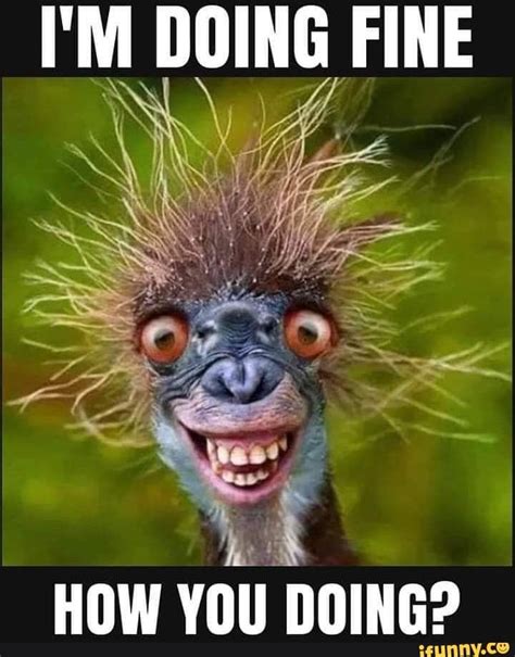 Im Doing Fine How You Doing Ifunny Funny Good Morning Quotes