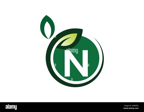 Letter N Green Leaf Logo Design Vector Template Letter N Nature Growth